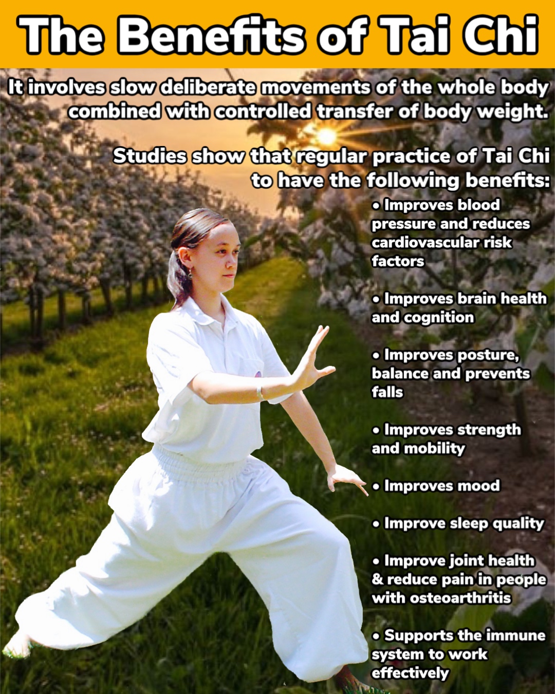 Tai Chi - Kalipay Wellness Center